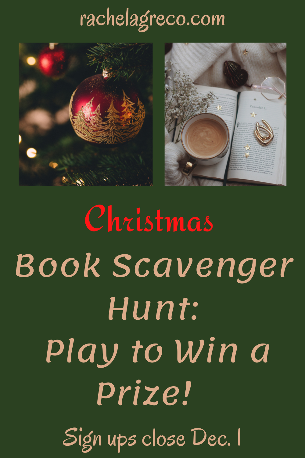 Christmas Book Scavenger Hunt - Rachel A. Greco
